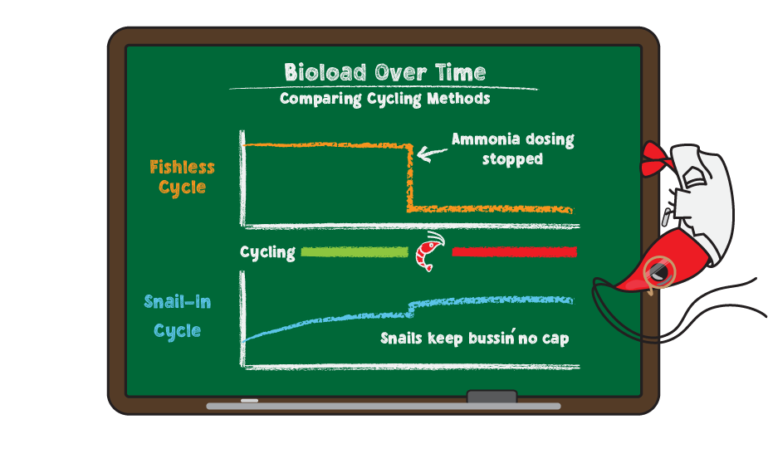 Choosing The Best Cycling Method For Your Shrimp Tank - Shrimply Explained